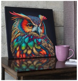 Obraz na plátně - barevná sova FeelHappy.cz Velikost obrazu: 100 x 100 cm