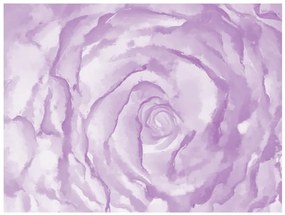 Fototapeta - růže (růžový)