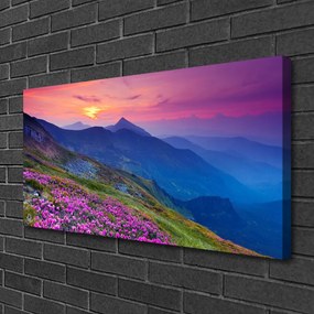 Obraz na plátně Hory Louka Květiny Krajina 100x50 cm
