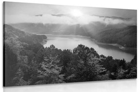Obraz řeka uprosted lesa v černobílém provedení