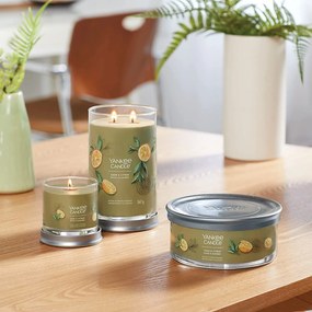 Yankee Candle vonná svíčka Signature Tumbler ve skle velká Sage & Citrus 567g