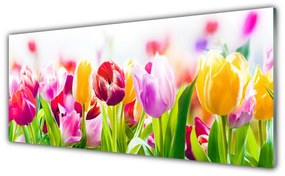 akrylový obraz Tulipány Květiny 125x50 cm