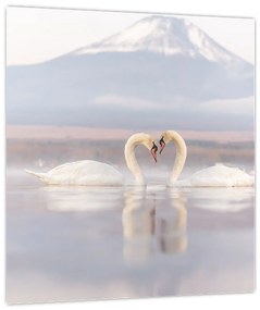 Obraz - Zamilované labutě (30x30 cm)