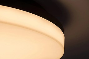 Rabalux Černé stropní LED svítidlo Pernik kulaté 280mm 24W IP54 7265