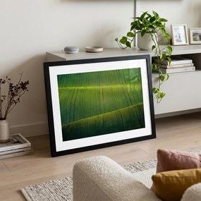 Vojta Herout | Moravian Manchester Rám: Bez rámu, Velikost: 40 x 60 cm