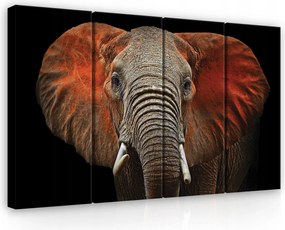 Obraz 120x80 Slon slon africký portrét zvířete Afrika příroda
