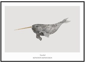 Plakát Narwhal A4 (21 x 29,7 cm)