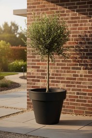Květináč LEVANTA, plast, výška 43 cm, antracit