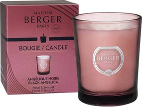 Maison Berger Paris – Duality vonná svíčka Black Angelica (Černá andělika), 180 g