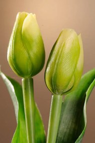 Paramit Umělý tulipán zelený 40 cm