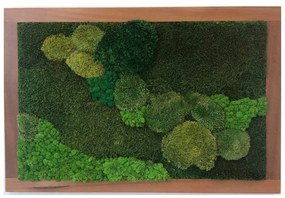 Mechový obraz|kombinace mechů Rozměr obrazu: 70x50 cm, Barva rámu: Ořech světlý (mořená borovice), Síla rámu (pohledová): 2,5 cm