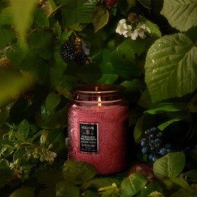 Voluspa svíčka Foraged Wildberry, 510 g