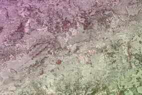 DIMEX | Samolepicí vliesová fototapeta na zeď Textura betonové desky MA-5-2410 | 375 x 250 cm | bílá, fialová, šedá