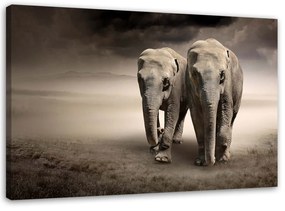 Gario Obraz na plátně Sloni v poušti Rozměry: 60 x 40 cm