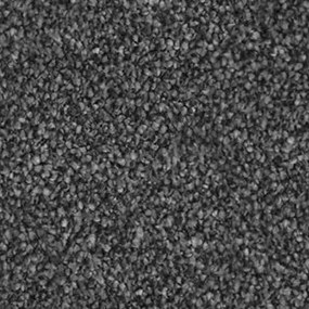 Luxusní koberec AW Cassius 99 - černý - 4m | 5m