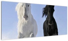 Koně, obraz (100x40cm)