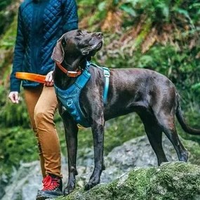Kurgo Journey Air Postroj pro psy modrá - velikost L