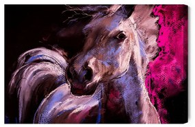 Obraz Kůň V Pastelových Barvách Nedostatek Nedostatek Přírodní plátno 70x50