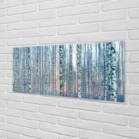 akrylový obraz Březového lesa při západu slunce 120x60 cm