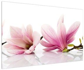 Obraz květu (120x80 cm)