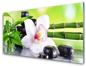 Obraz na skle Orchidej Kameny Zen Bambus 100x50 cm