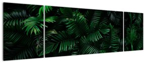 Obraz - Tropické kapradí (170x50 cm)