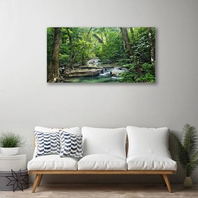Obraz na plátně Lesní Les Příroda 100x50 cm