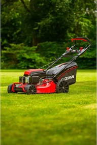 Hahn & Sohn Cedrus Sekačka benzínová KS53S s pojezdem HP16108