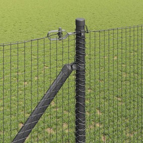Svařované drátěné ploty s hroty 25 x 1,2 m Ocel potažená PVC 3352204