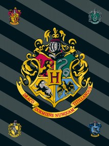 Jerry Fabrics Deka fleecová 100x150 cm - Harry Potter "HP067"