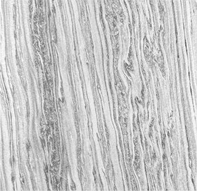 XXXLutz AKUSTICKÝ PANEL velikost: 52/52/0.7 cm Jangal - Online Only tapety - 003485001606