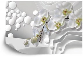 Fototapeta Bílé Orchideje Omyvatelný vlies 180x120