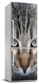 Wallmuralia Nálepka fototapeta lednička Oči kočky 60x180 cm