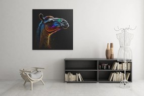 Obraz na plátně - barevný velbloud FeelHappy.cz Velikost obrazu: 80 x 80 cm