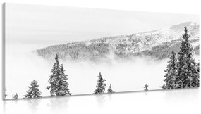 Obraz zasněžené borovicové stromy v černobílém provedení - 120x60 cm