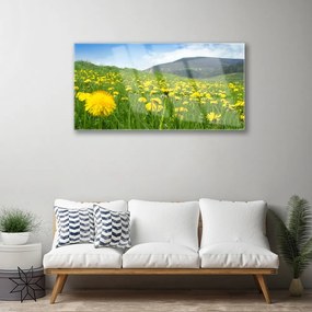 Obraz na skle Pampeliška Příroda 120x60 cm
