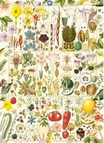 GIBSONS Puzzle Botanická blaženost / 1000 dílků / 49 x 68 cm