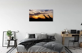 Obrazy na plátně Žirafy strom mraky 100x50 cm