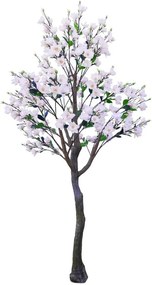Rozkvetlý strom Magnolie - 190*190*350 cm