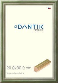 DANTIK rámeček 20x30 | Y-ka zelená linka (Sklo Čiré)