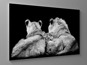 Liox Černobílý obraz lví rodina Rozměr: 120 x 80 cm