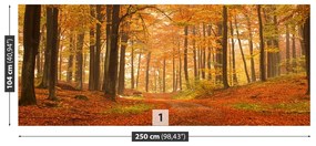 Fototapeta Podzimní les 104x70