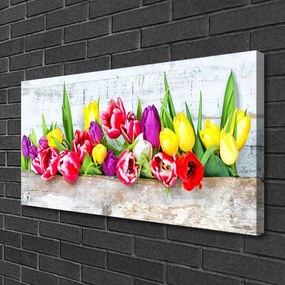 Obraz na plátně Tulipány Květiny Příroda 120x60 cm