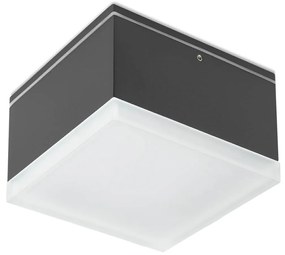 Redo 90109 stropní LED svítidlo Akron tmavě šedé, 9W, 3000K, 10,8cm