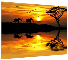 Obraz africké krajiny se slonem (70x50 cm)