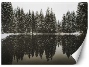 Fototapeta, Jezero v lese v zimě - 150x105 cm