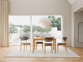 ACTONA Rozkládací jídelní stůl AREZZO přírodní 120/220x80 cm