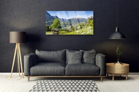 Obraz na skle Hora Pole Příroda 100x50 cm