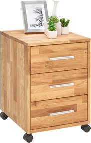 XXXLutz POJÍZDNÝ KONTEJNER, 40/56,7/42 cm Linea Natura - 002748003702
