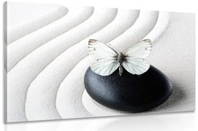 Obraz bílý motýl na černém kameni Varianta: 60x40